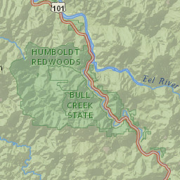 Real-Time Earthquake Map