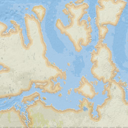 ArcGIS Web Application