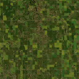 ArcGIS Web Application