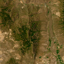 ArcGIS Web Application