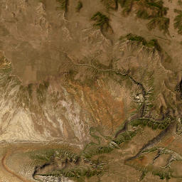 ArcGIS Web Application