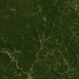 ArcGIS Web Application