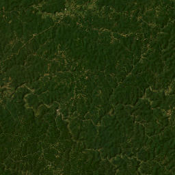 ArcGIS Web Application