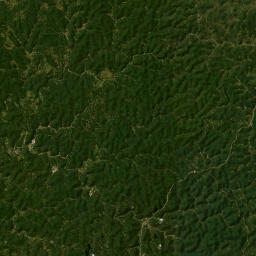 ArcGIS Web Application