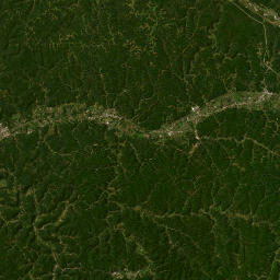 ArcGIS Web Application