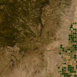 Portico - Rio Grande County