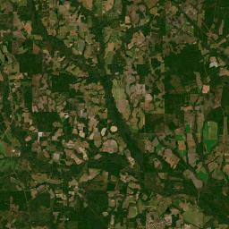 ArcGIS Web Application