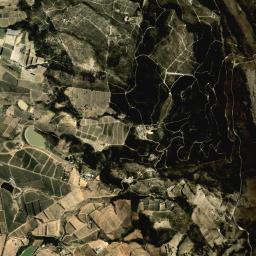 ArcGIS Web Application