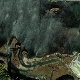 ArcGIS Web Application