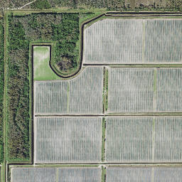 ArcGIS Web Application