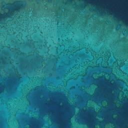 Reef Monitoring