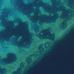 Reef Monitoring