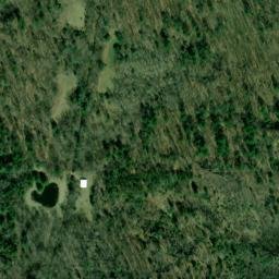 ArcGIS Web Application