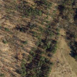 New York Land Quest - 16 acres Hunting Land and Building Lot bordering ...