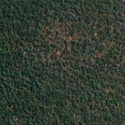 Leaflet | Tiles © Esri — Source: Esri, i-cubed, USDA, USGS, AEX, GeoEye ...
