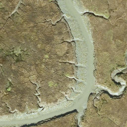 ArcGIS Web Application