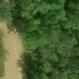 ArcGIS Web Application