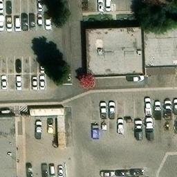 Road Tracker Video Viewer