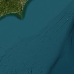 Georgia Dfirm Flood Map