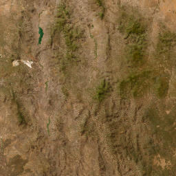 ArcGIS Web Application