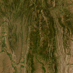 ArcGIS Web Application