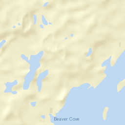 Hourly weather Roddickton