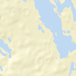 Hourly weather Roddickton