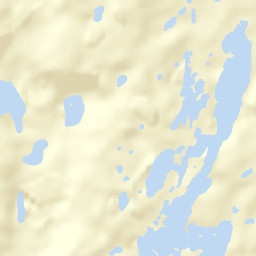 Hourly weather Roddickton