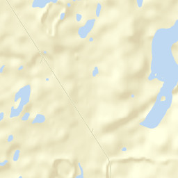 Hourly weather Roddickton