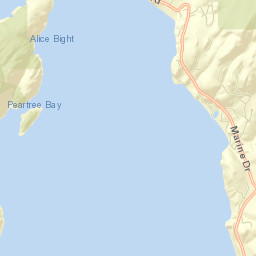 ArcGIS Web Application