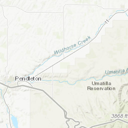 ArcGIS Web Application