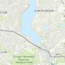 ArcGIS Web Application