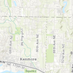 ArcGIS Web Application