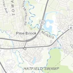 ArcGIS Web Application