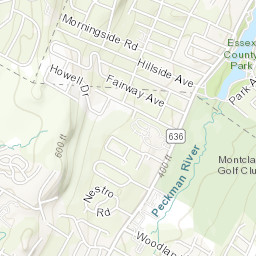 ArcGIS Web Application
