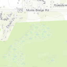 ArcGIS Web Application