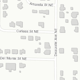 ArcGIS Web Application