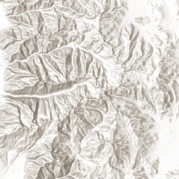 ArcGIS Web Application