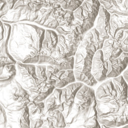 ArcGIS Web Application