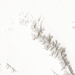 ArcGIS Web Application