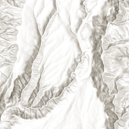 ArcGIS Web Application