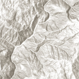 ArcGIS Web Application