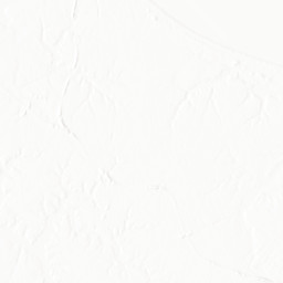 Mermaid Interactive Spotting Map | City of Norfolk, Virginia - Official ...