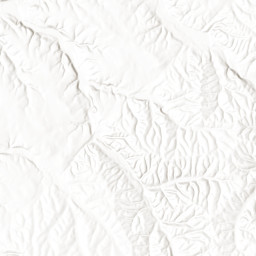 ArcGIS Web Application