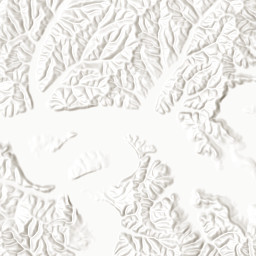 ArcGIS Web Application