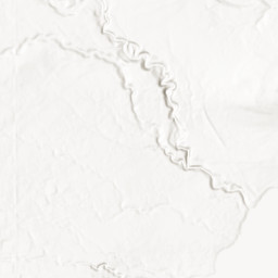 ArcGIS Web Application