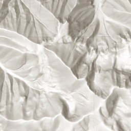 ArcGIS Web Application