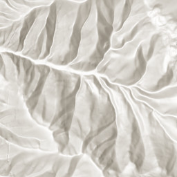 ArcGIS Web Application