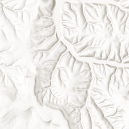 ArcGIS Web Application