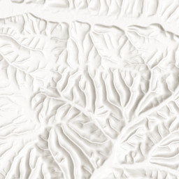 ArcGIS Web Application